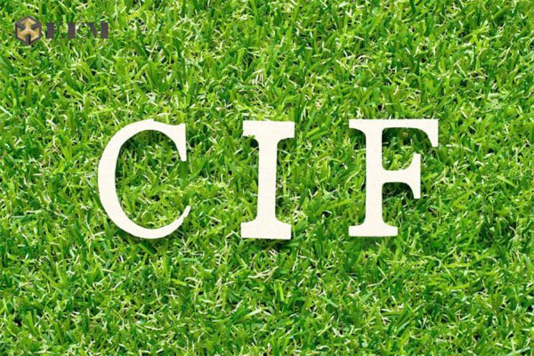 CIF Incoterms: Business Guide | Express Freight Management